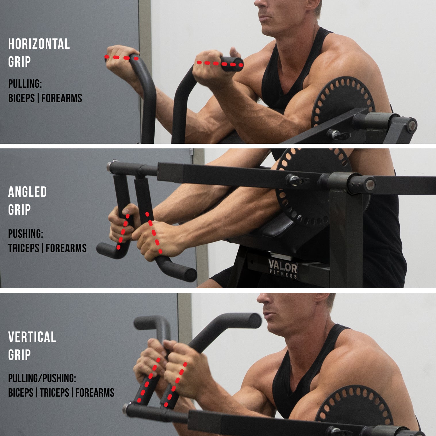 Dual Tricep & Bicep Curl Machine – Valor Fitness