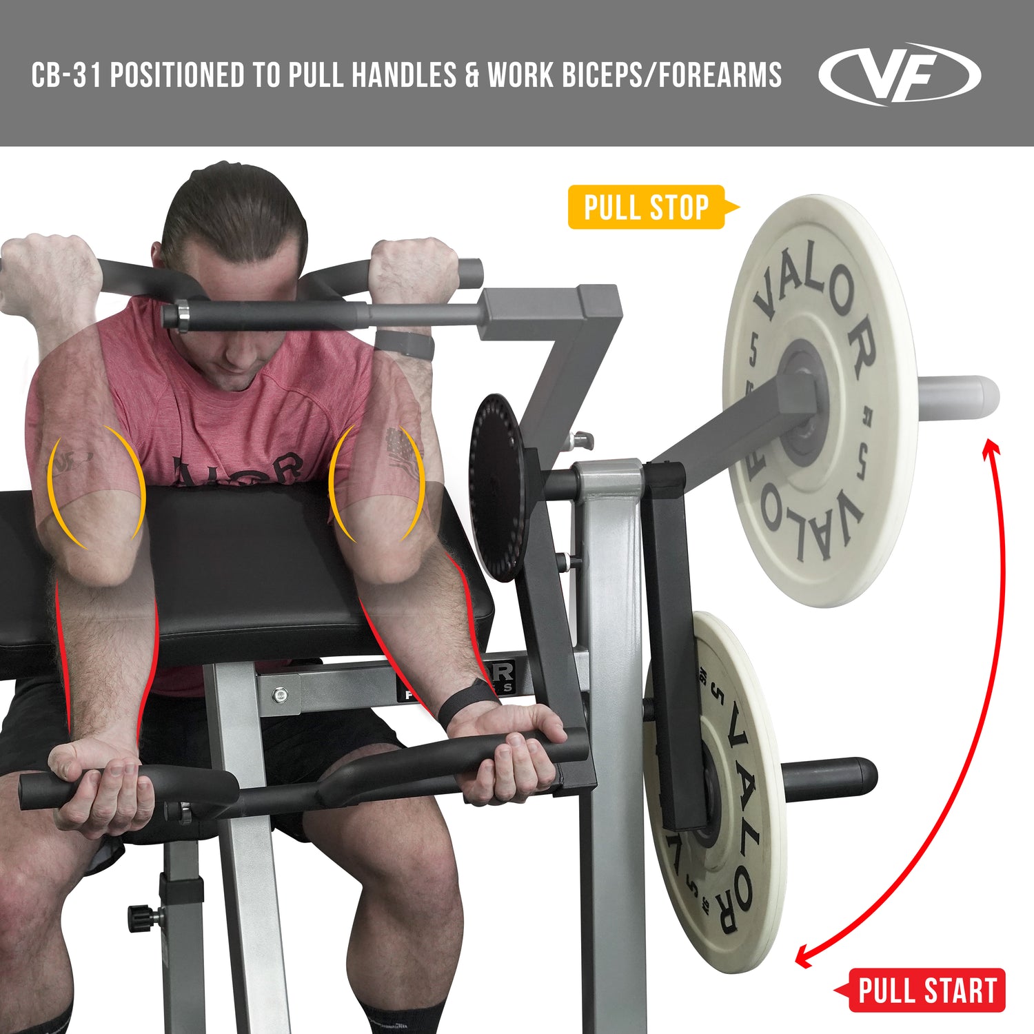 Plate Loaded Tricep & Bicep Curl Machine