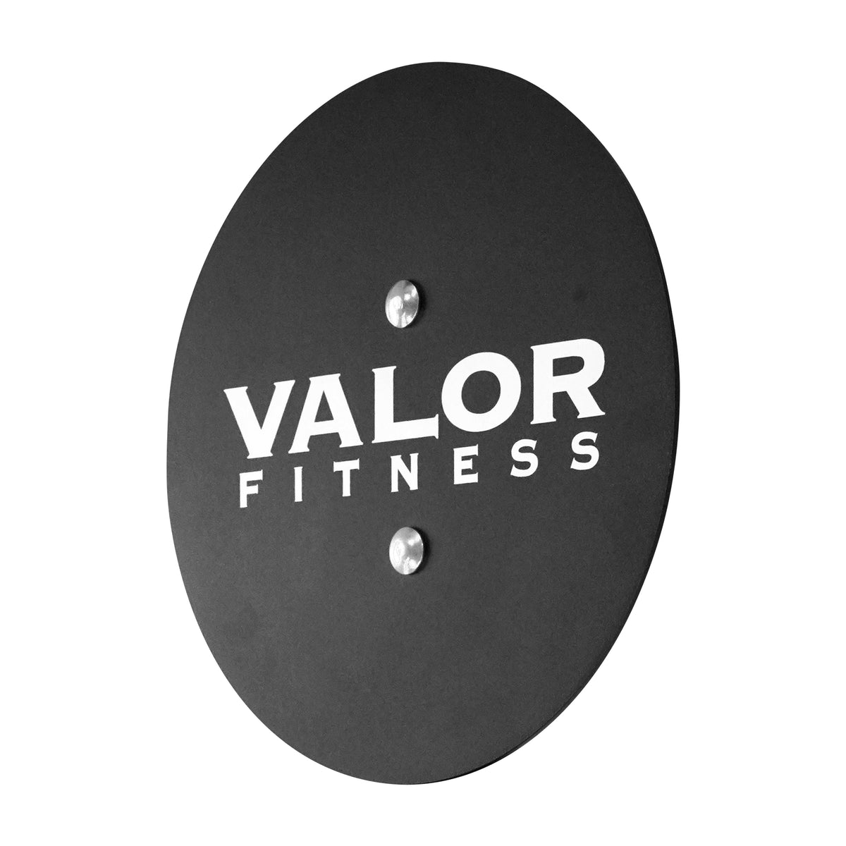 Wall Ball Target – Mountable Fitness Target – Valor Fitness