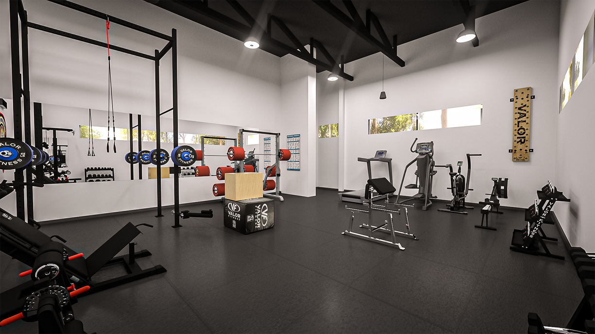 Create Your Perfect Gym | Custom Home & Commercial Gyms – Valor Fitness