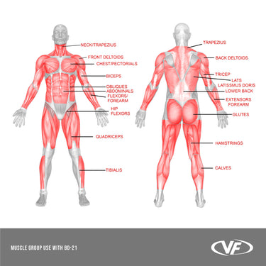 Strongman Yoke, Squat Rack | Valor Fitness BD-21