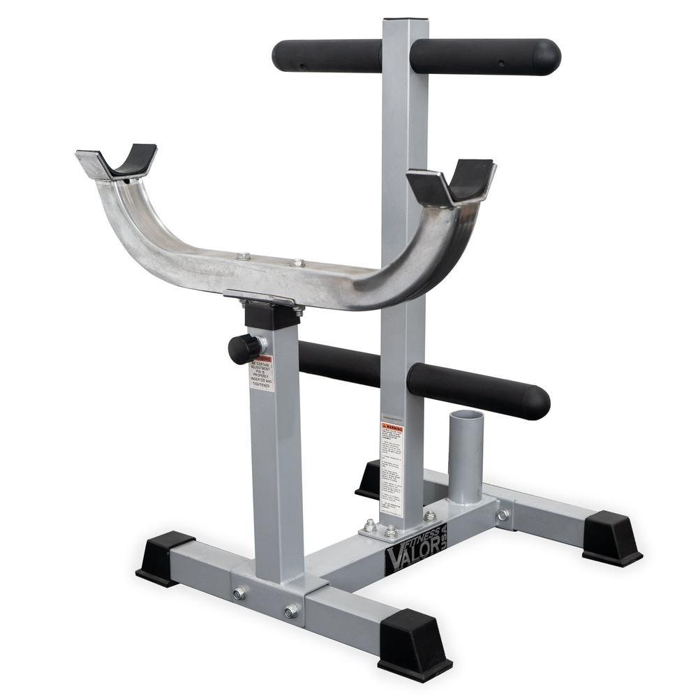 Curl Bar Stand with Olympic Plate Storage – Valor Fitness