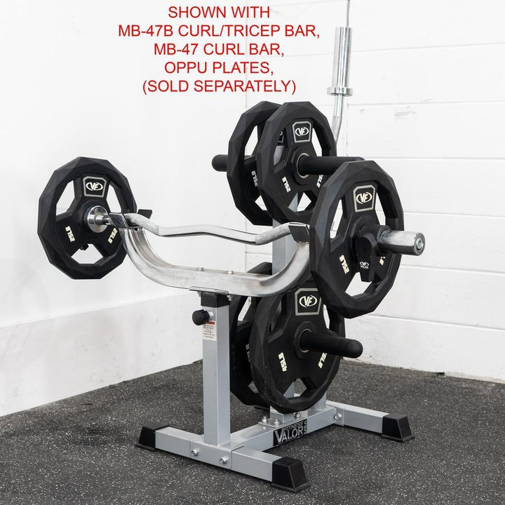 Curl Bar Stand with Storage - Organize & Train Hard!