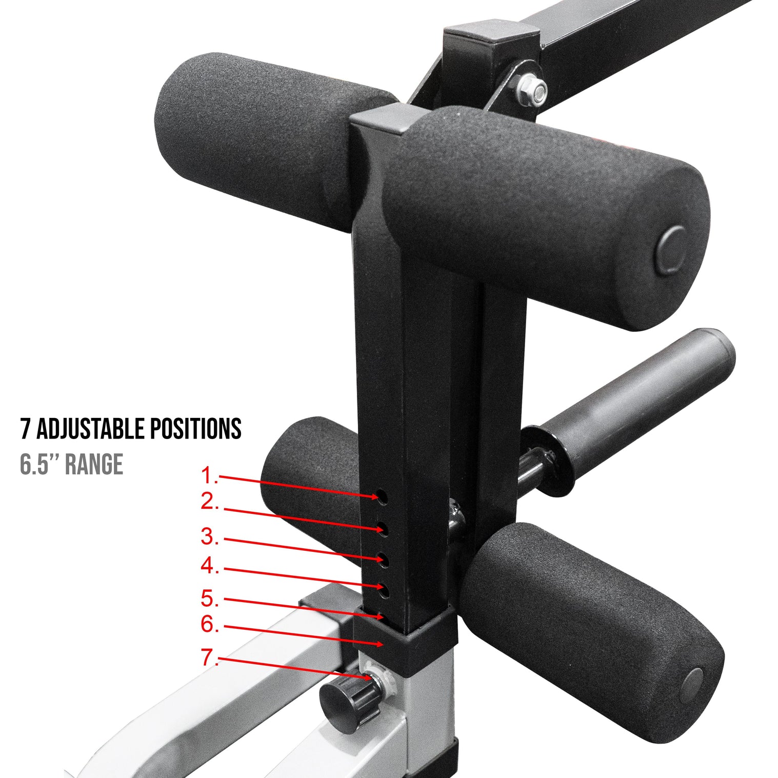 Leg Curl and Extension (FID Bench Attachment) – Valor Fitness